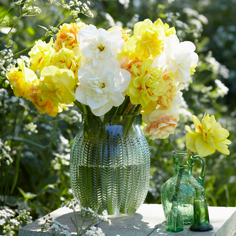 Easy to Grow Bulbs | Fresh Flower Bulbs | Flower Bulb Farm